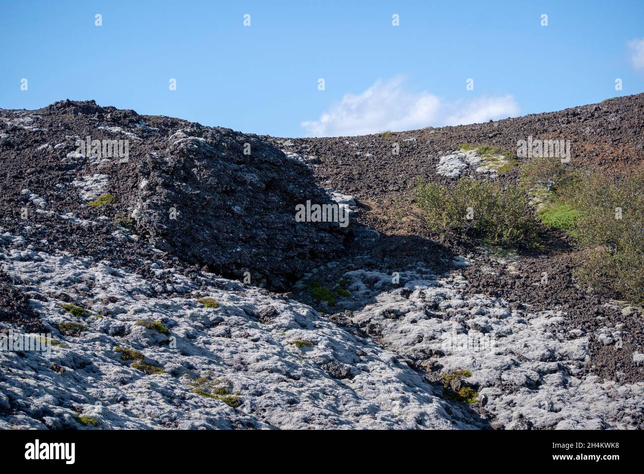Landscape of interior of Eldborg crater extinct volcano near Borgarnes ...