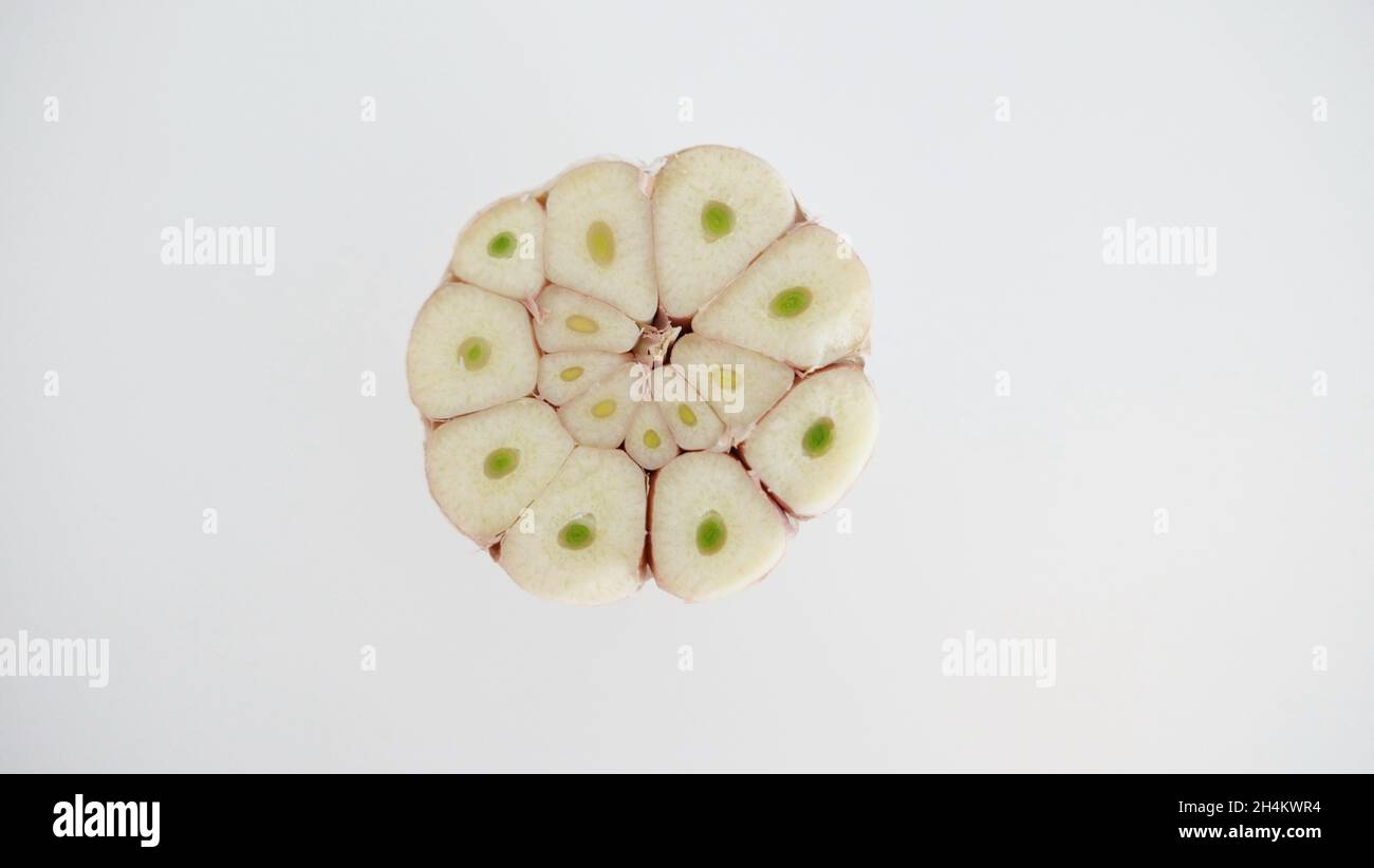 Cross section through whole head of garlic on white background Stock ...
