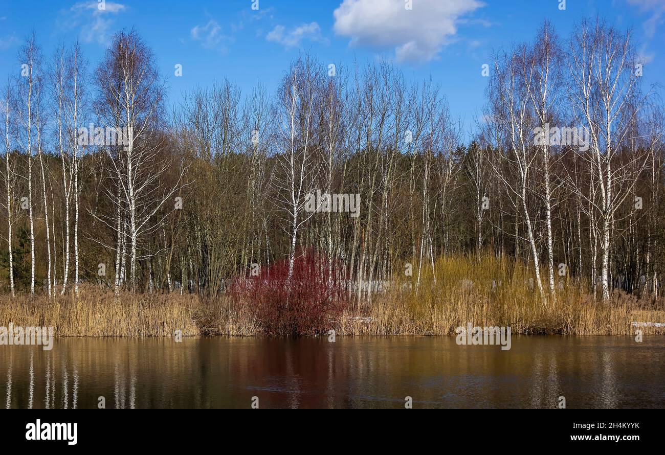 Spring sho hi-res stock photography and images - Alamy