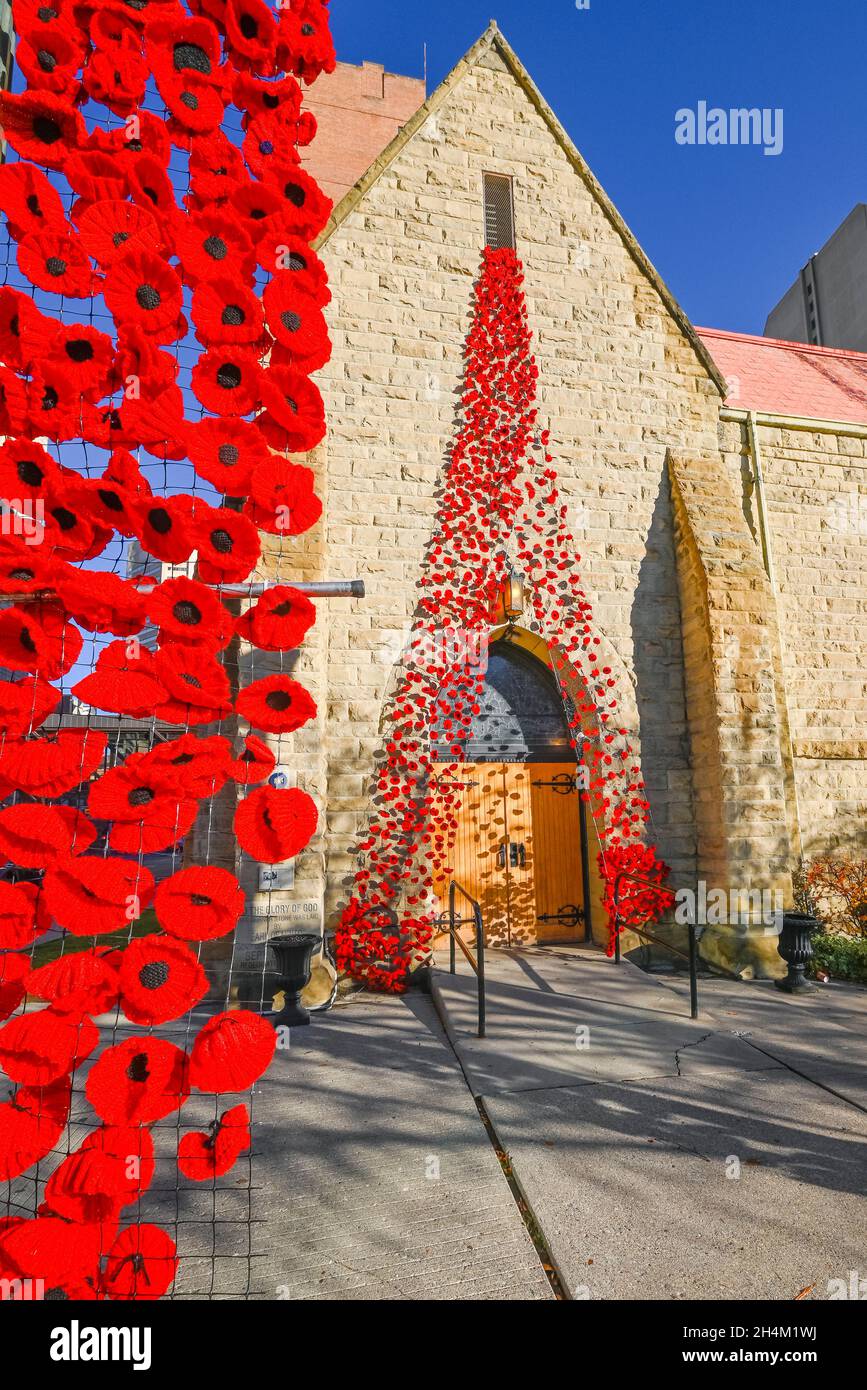 Thousands of knitted Remembrance Day poppies adorn Cathedral Church of ...