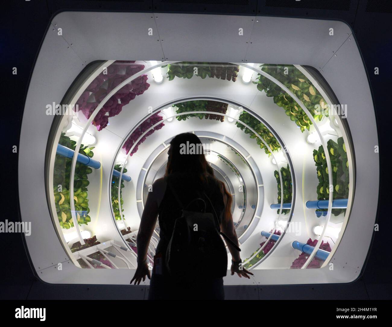 A guest studies the hydroponic "Grow Zone" of leafy vegetables at Space ...