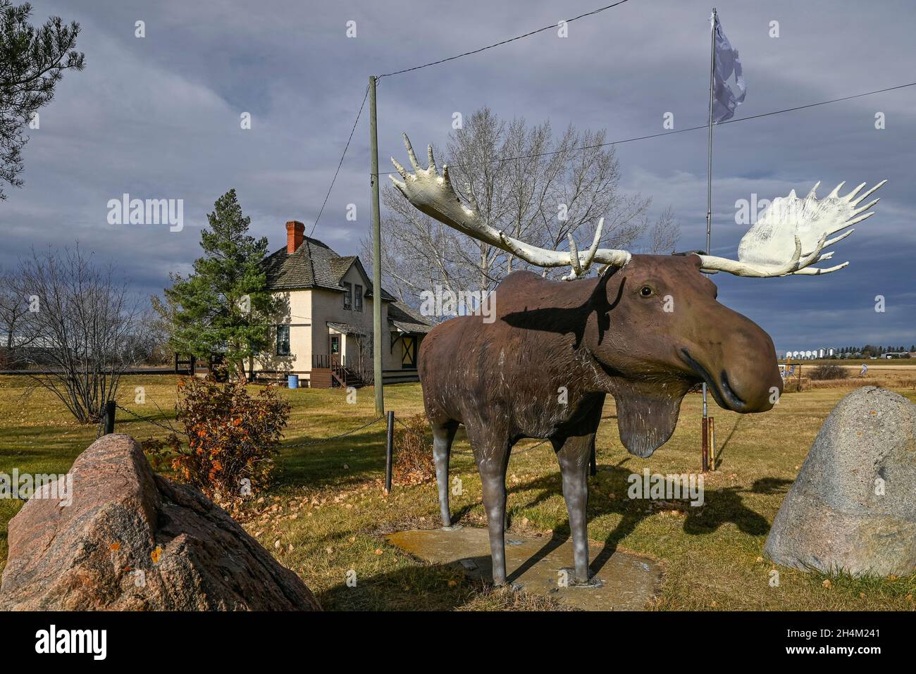 Decorative moose, Rowley, Alberta, Canada Stock Photo - Alamy