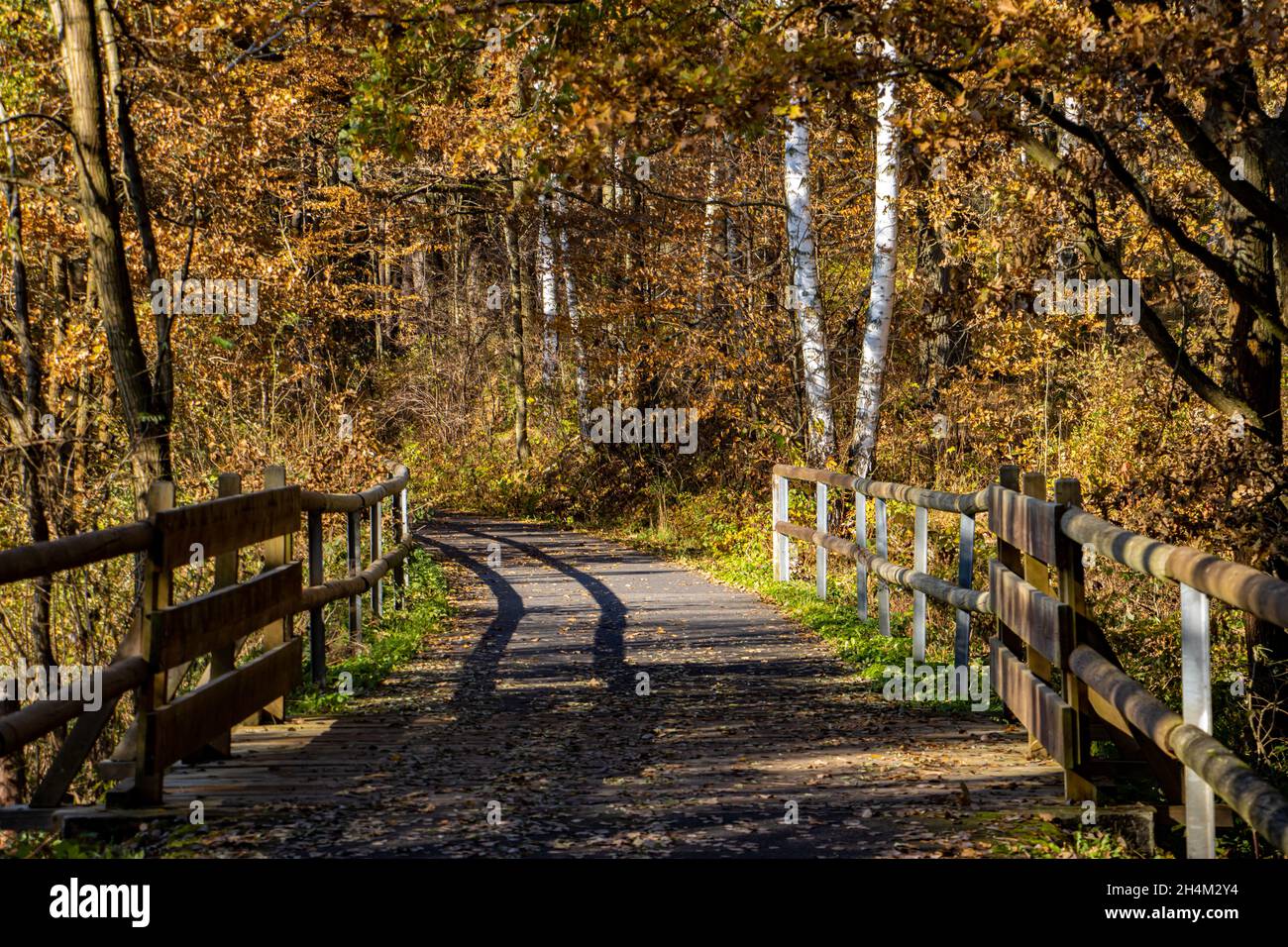 Seasonal leaf in railing hi-res stock photography and images - Alamy