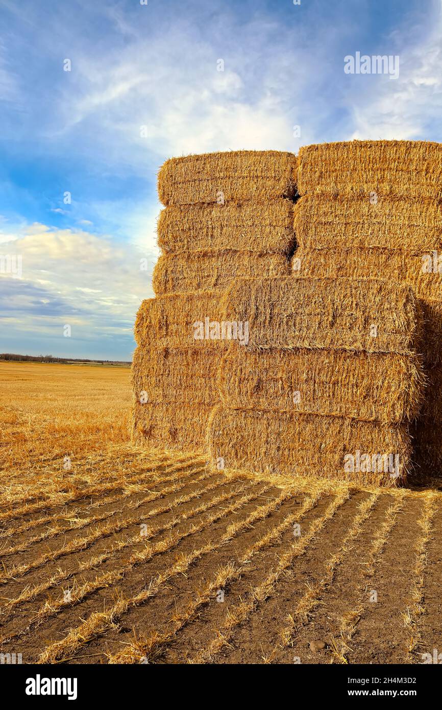 Square haystack hi-res stock photography and images - Alamy
