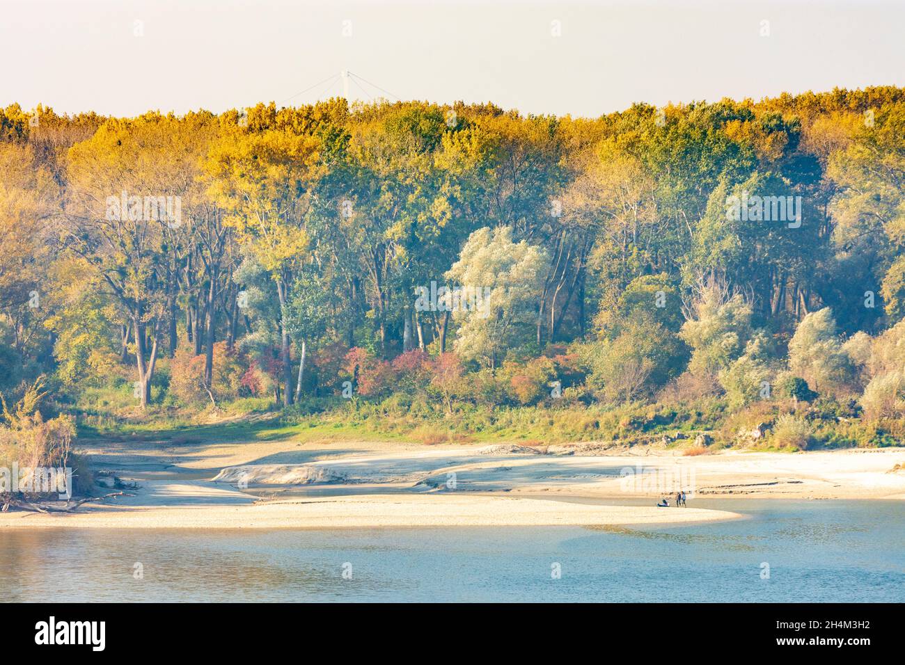 Hainburg an der Donau: river Donau (Danube) and trees in Nationalpark ...