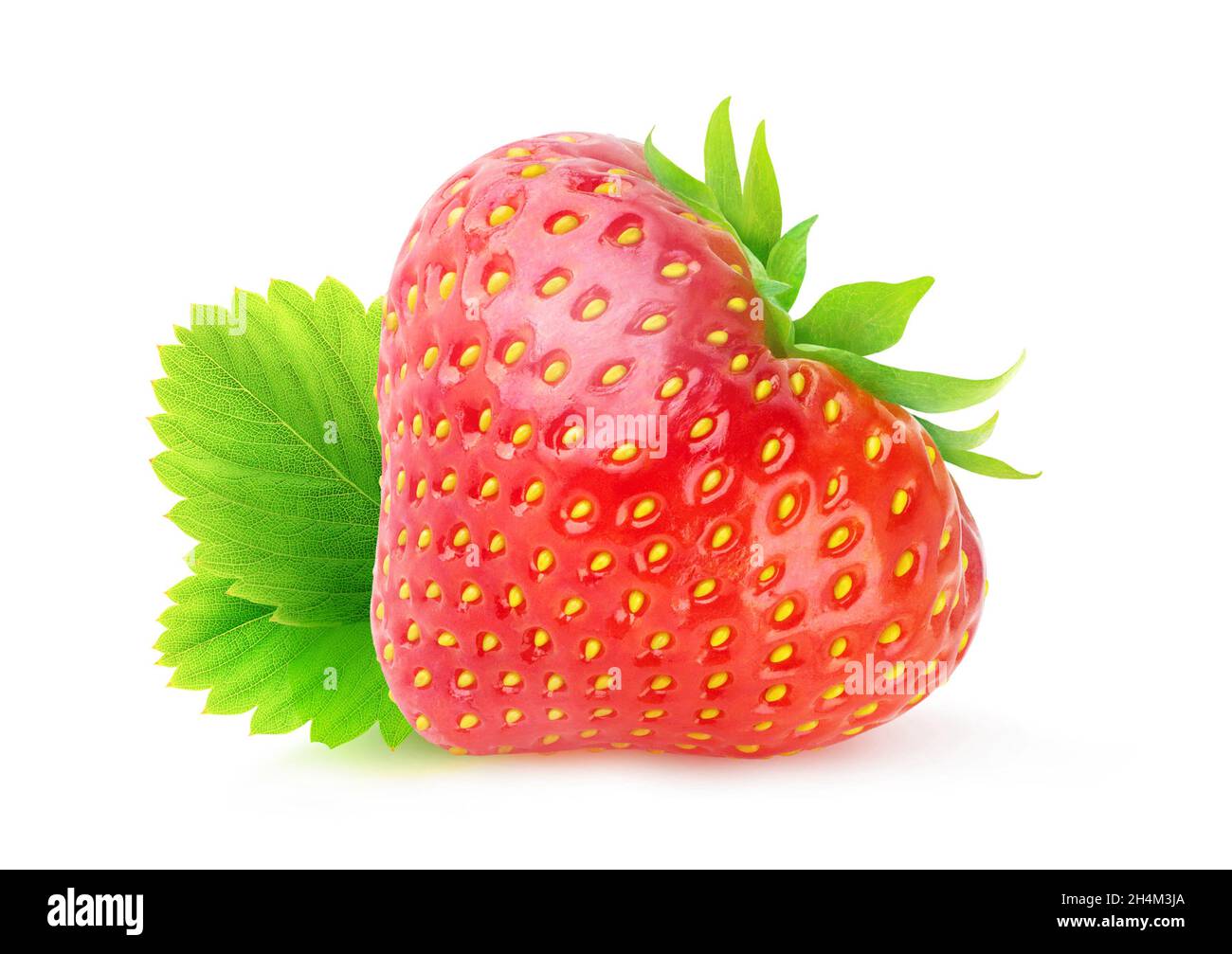 One strawberry with leaves isolated on white background Stock Photo - Alamy
