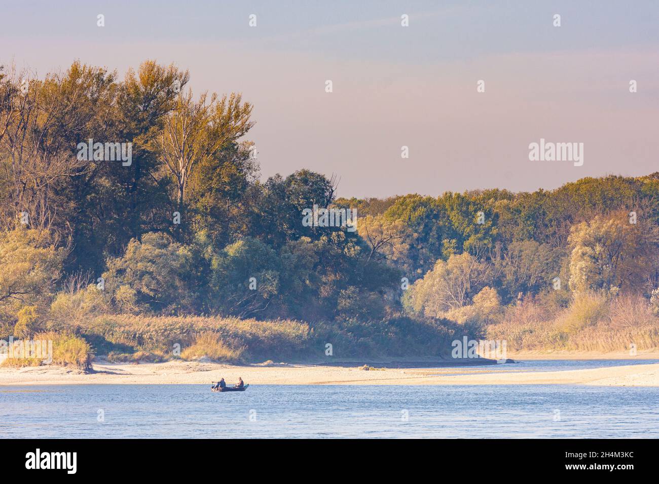 Hainburg an der Donau: river Donau (Danube) and trees in Nationalpark ...