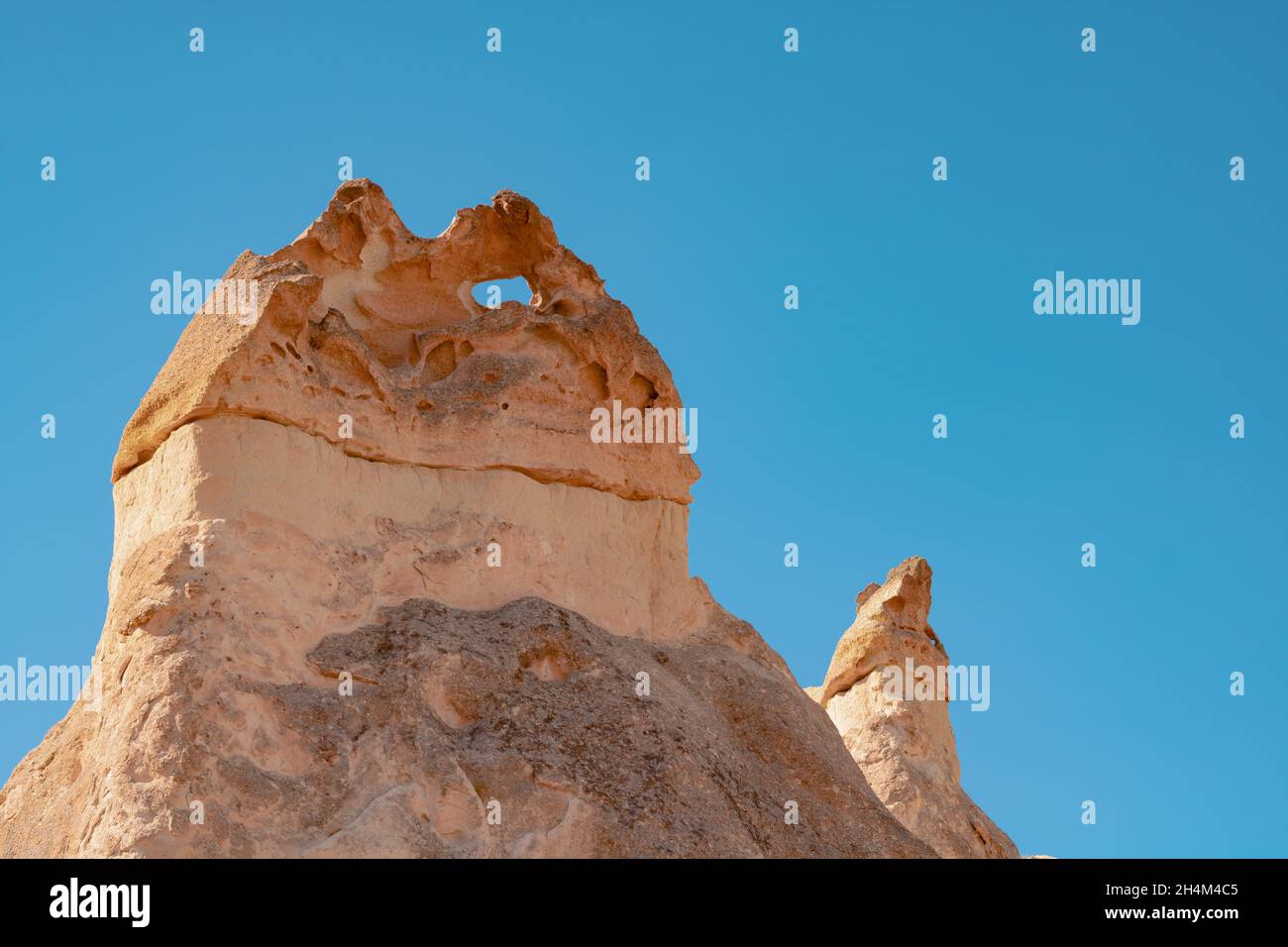 Peri bacasi hi-res stock photography and images - Alamy