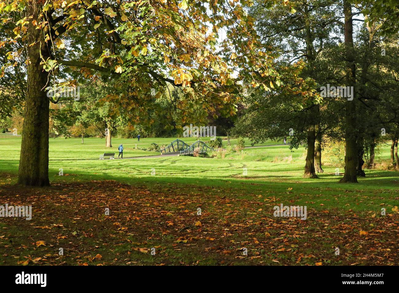 Lurgan Park, Lurgan, Co Armagh, Northern Ireland, UK. 03 Nov 2021. UK ...