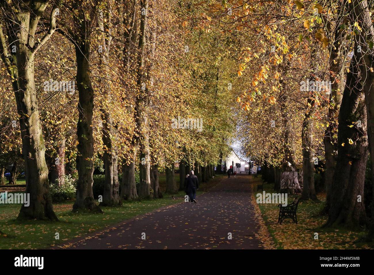 Lurgan Park, Lurgan, Co Armagh, Northern Ireland, UK. 03 Nov 2021. UK ...