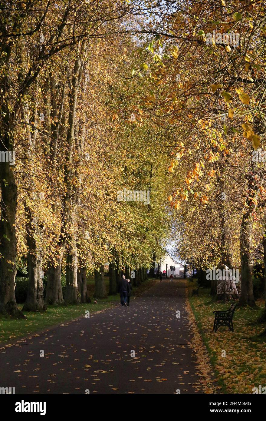 Lurgan Park, Lurgan, Co Armagh, Northern Ireland, UK. 03 Nov 2021. UK ...