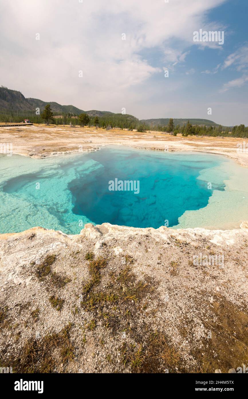 trees, river, Geyser and hot spring in old faithful basin in ...