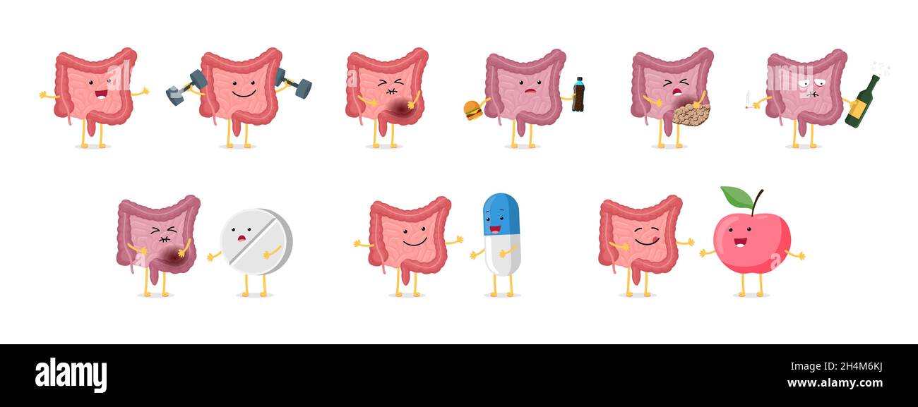 Smiling strong healthy and sad sick unhealthy intestines cute character ...