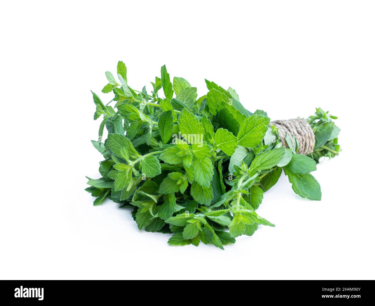 Bunch fresh mint lemon Cut Out Stock Images & Pictures - Alamy