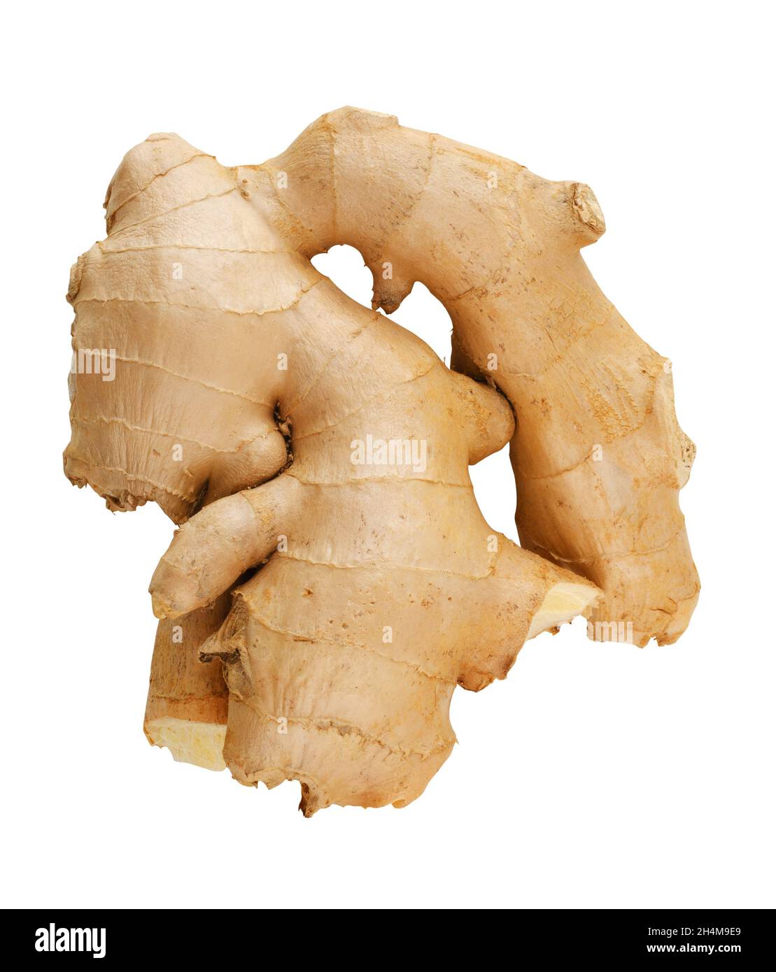 Ginger root isolated on a white background Stock Photo - Alamy