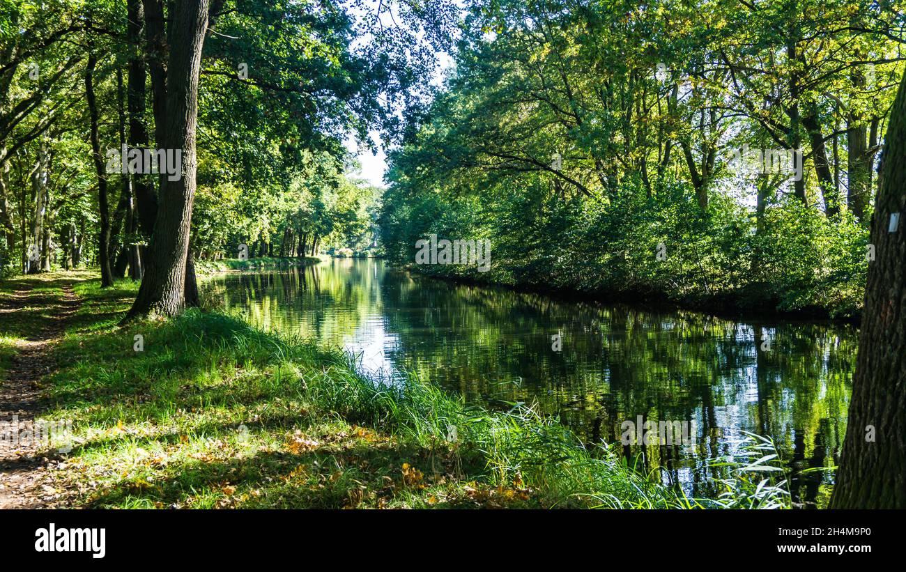 scenic forest road along the Elde river in Mecklenburg Stock Photo - Alamy