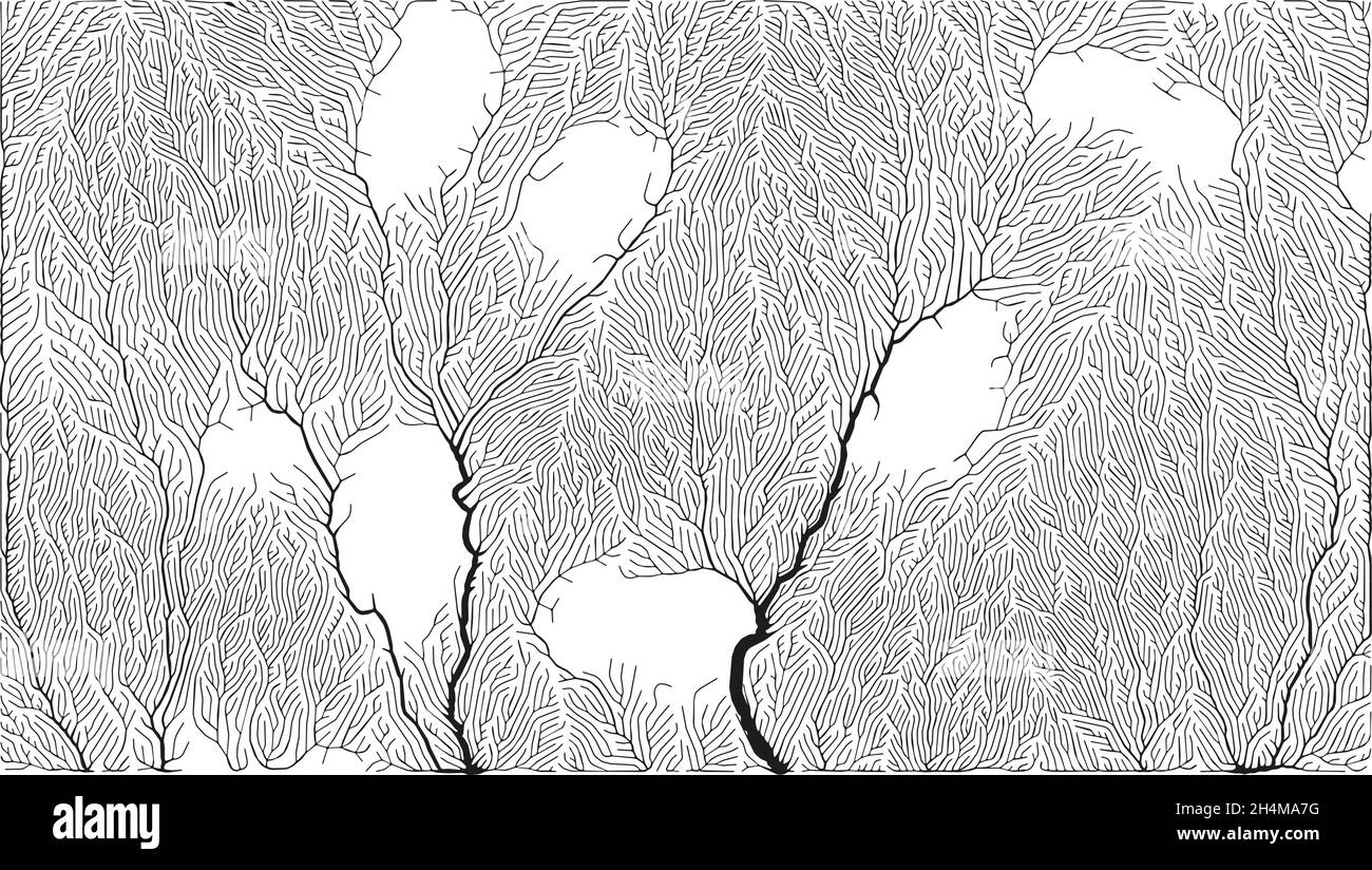 Growth pattern. Generative branching structure. Organic net of vessels ...