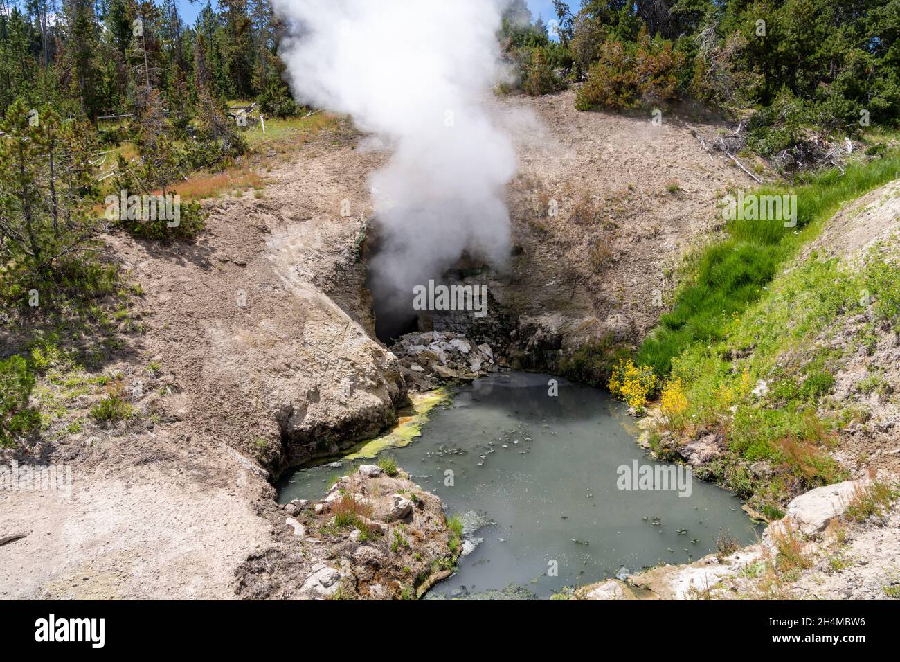 Dragon Mouth Spring geothermal feature in Yellowstone National Park ...