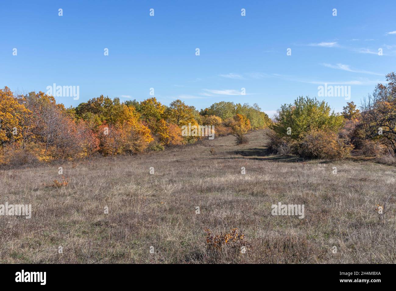 Autumn landscape of Cherna Gora (Monte Negro) mountain, Pernik Region ...