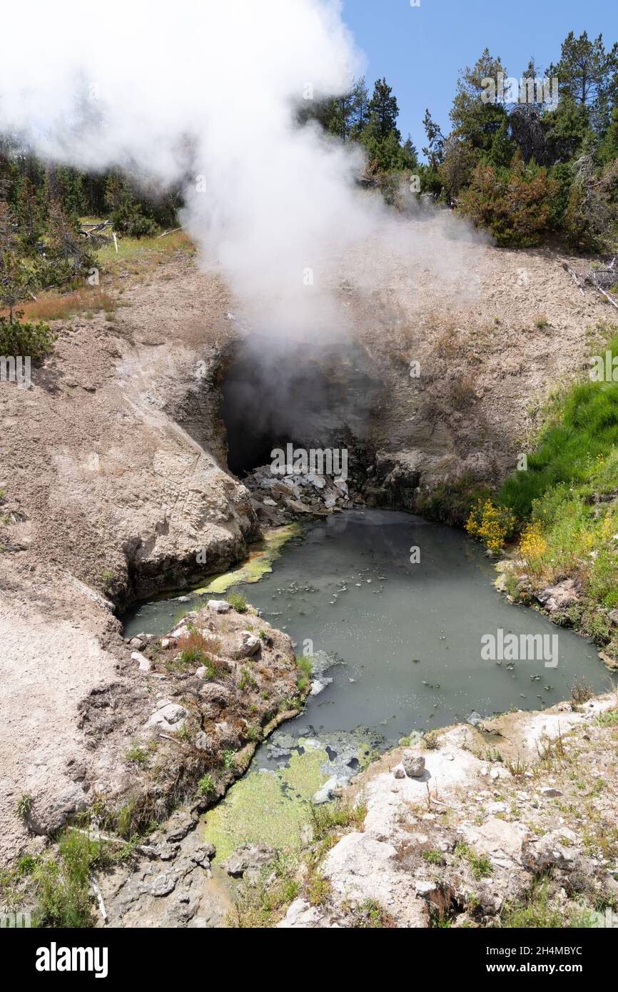 Dragon Mouth Spring geothermal feature in Yellowstone National Park ...