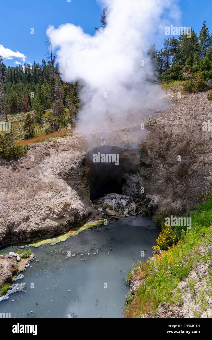 Dragon Mouth Spring geothermal feature in Yellowstone National Park ...
