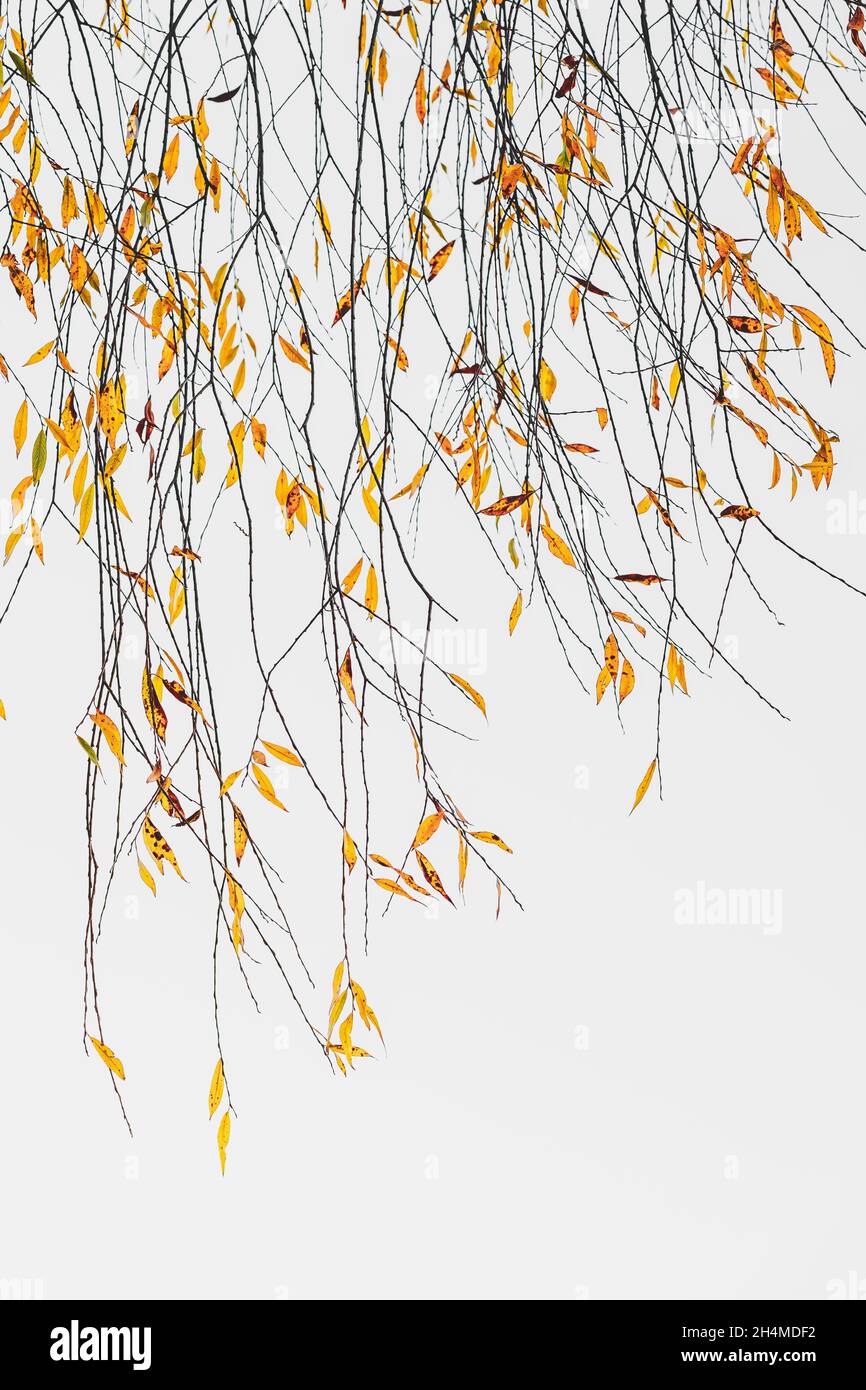 Airy scenery hi-res stock photography and images - Alamy