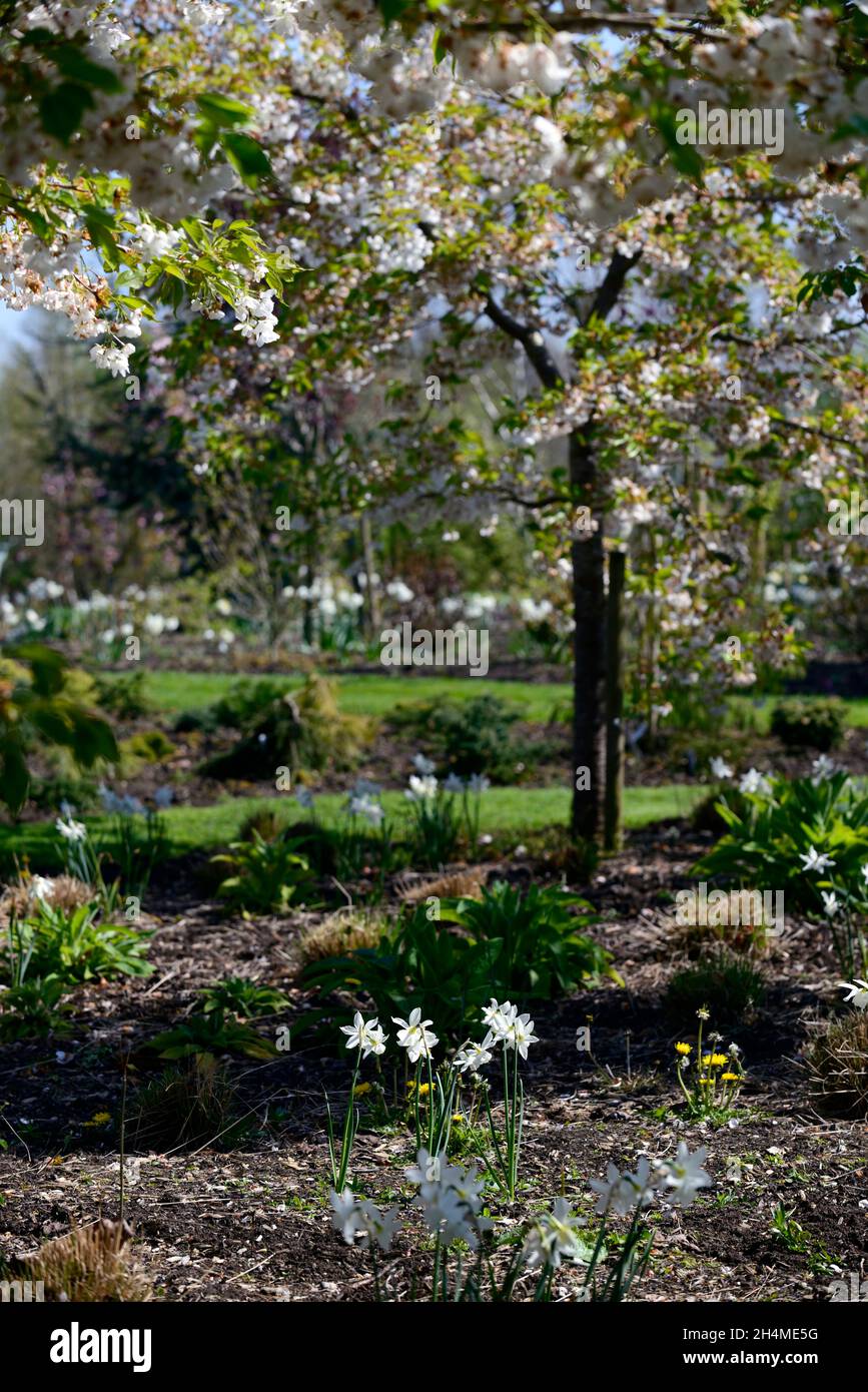 Underplant hi-res stock photography and images - Alamy