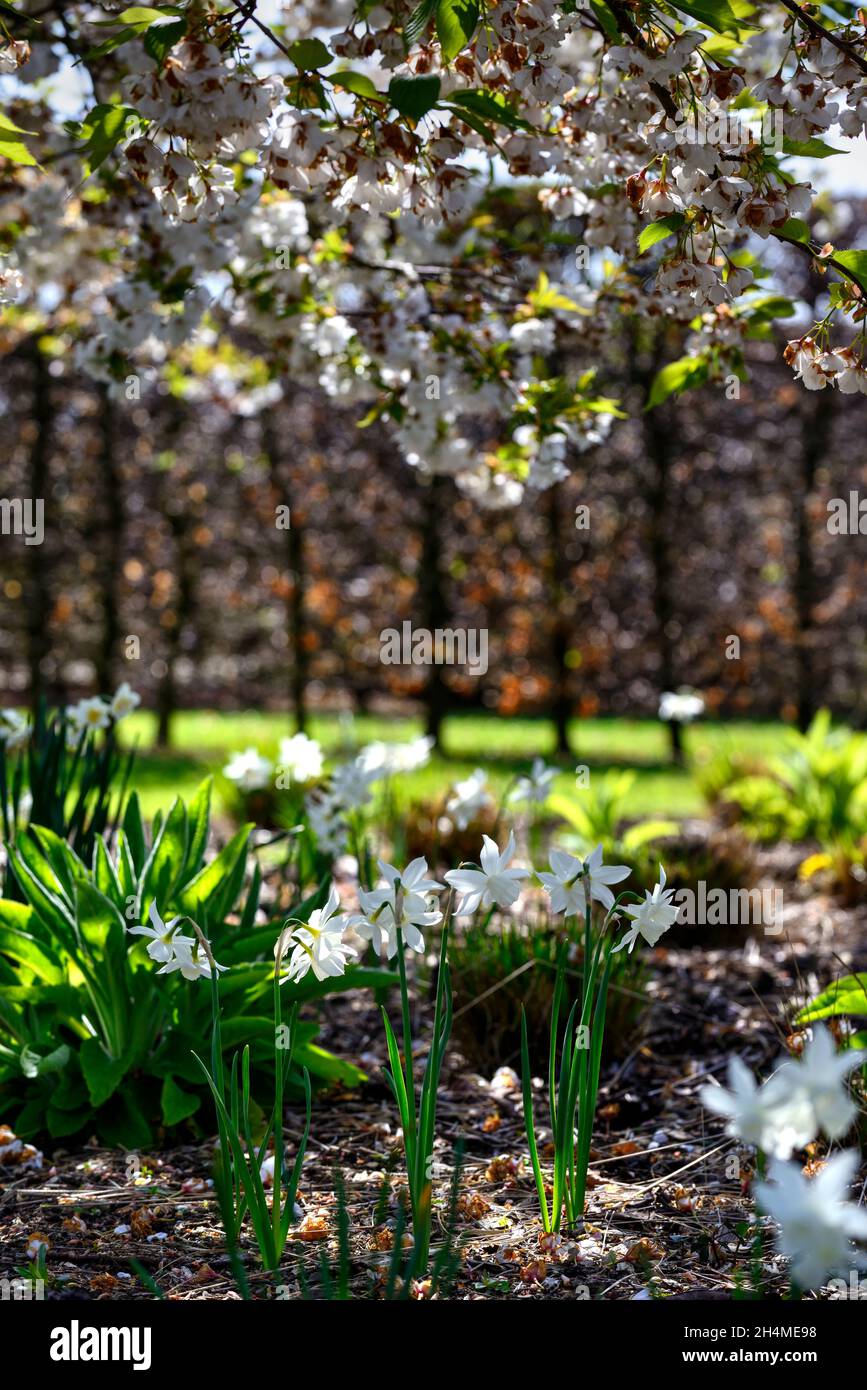 Underplant hi-res stock photography and images - Alamy