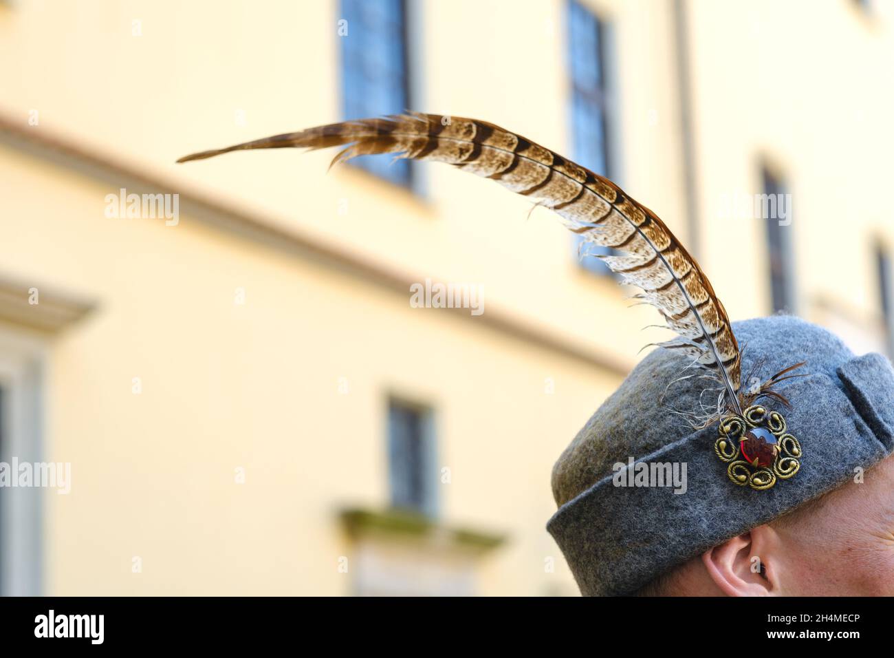A feather in an old soldier's hat.Medieval concept Stock Photo - Alamy