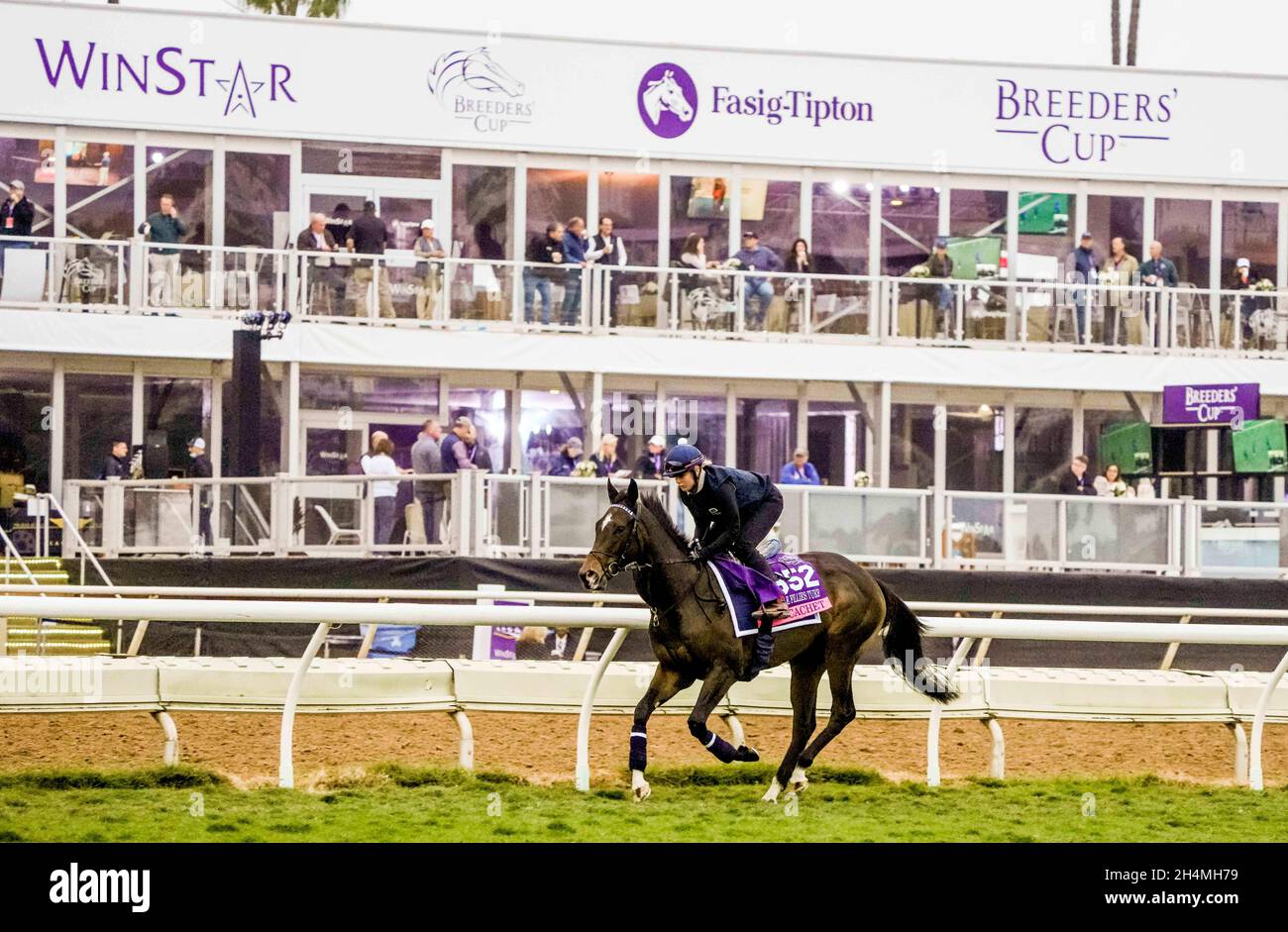 Del Mar, CA, USA. 2nd Nov, 2021. November 2, 2021: Cachet, entered in ...