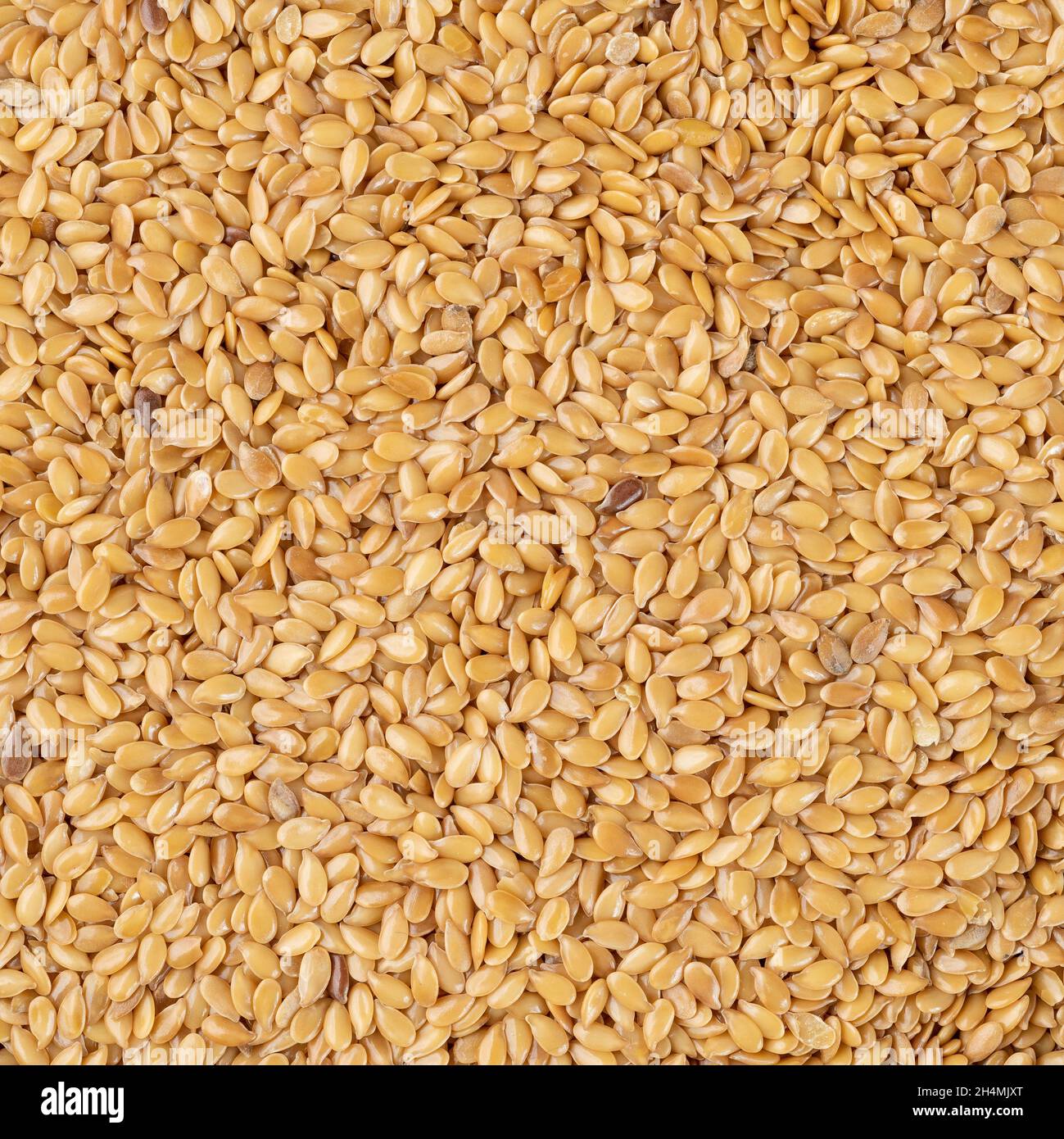 Top view, closeup of golden linseed seeds. Food backdrop Stock Photo ...