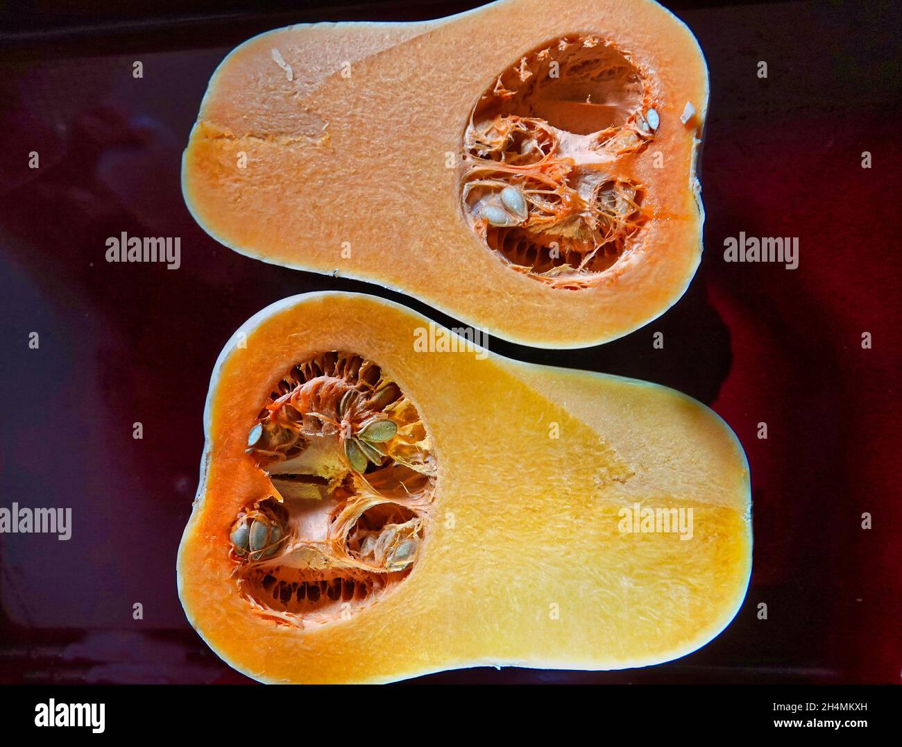 Butternut Squash - a split open display Stock Photo - Alamy