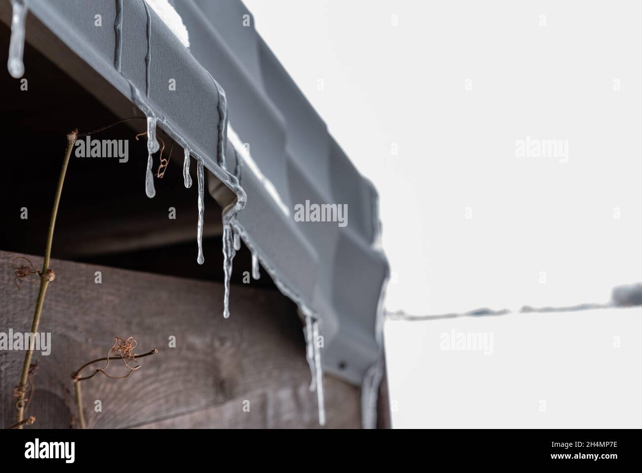 Icicles hanging from a sheet metal roof, brown blurred boards in the ...