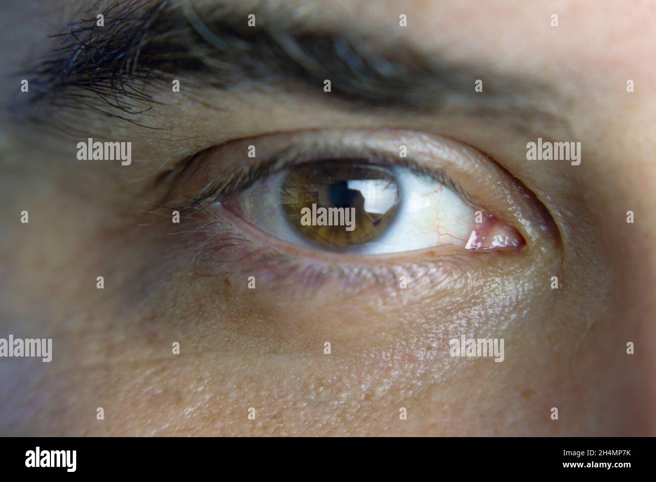 Close up in a male eye Stock Photo - Alamy