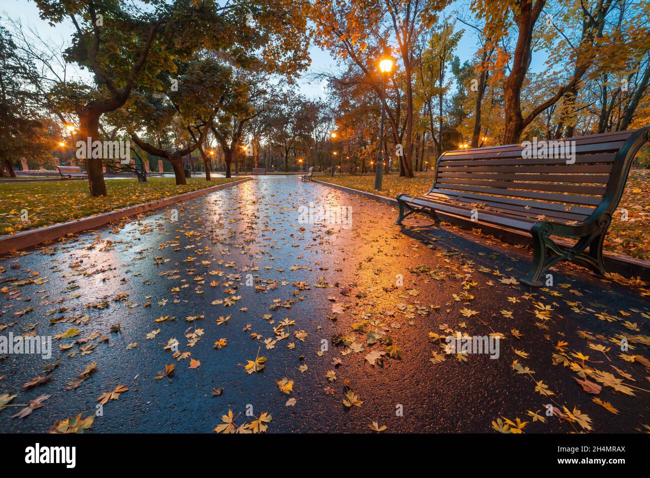 Fall foliage in city park hi-res stock photography and images - Alamy