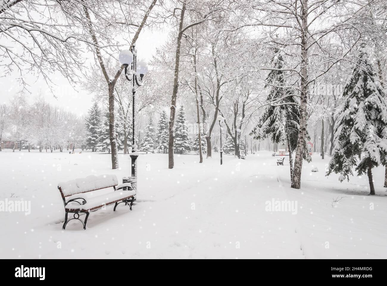 Snowy landscape with snowfall and snowy benches in the winter city park ...
