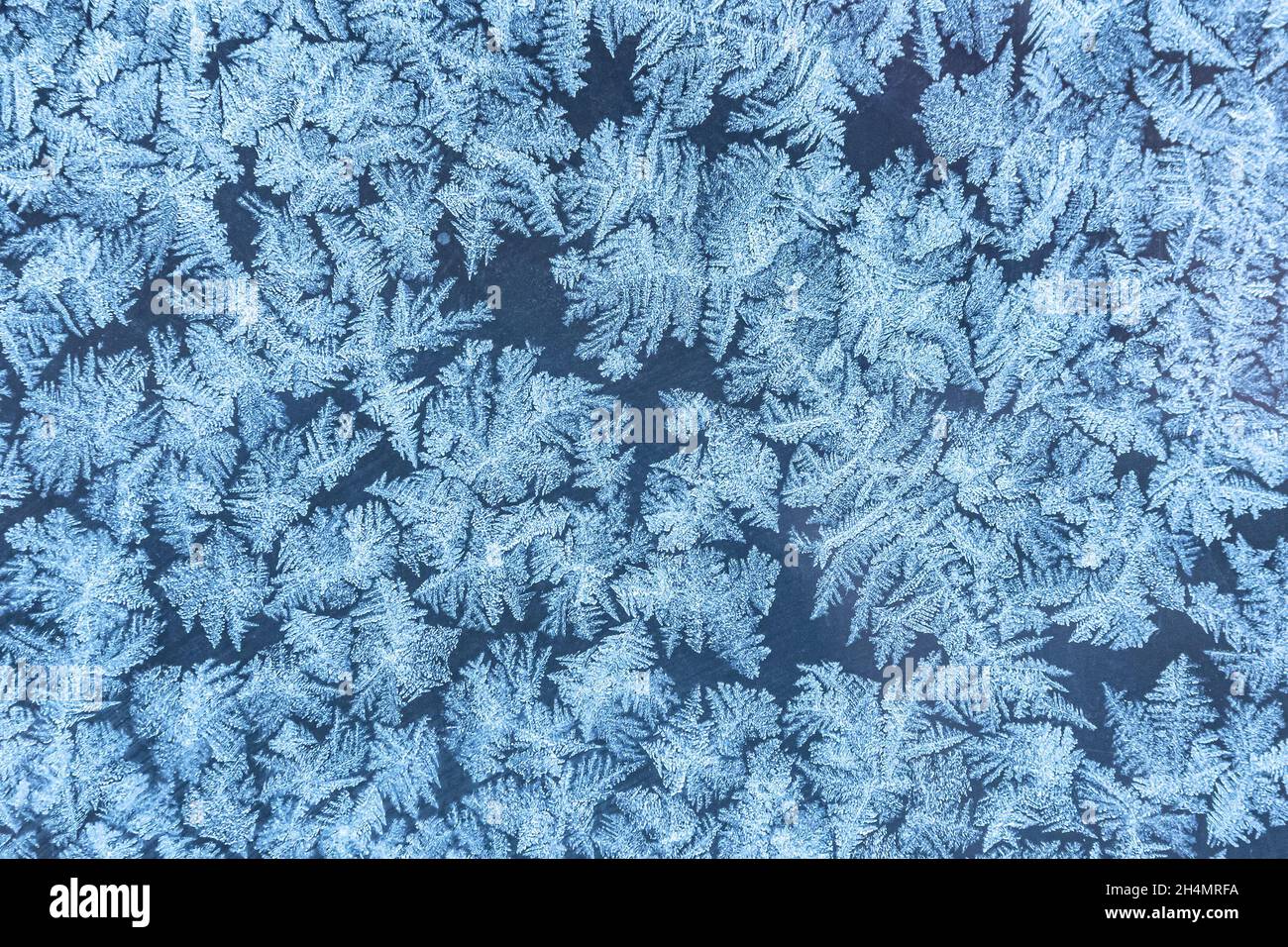 Winter background with frost pattern on glass Stock Photo - Alamy