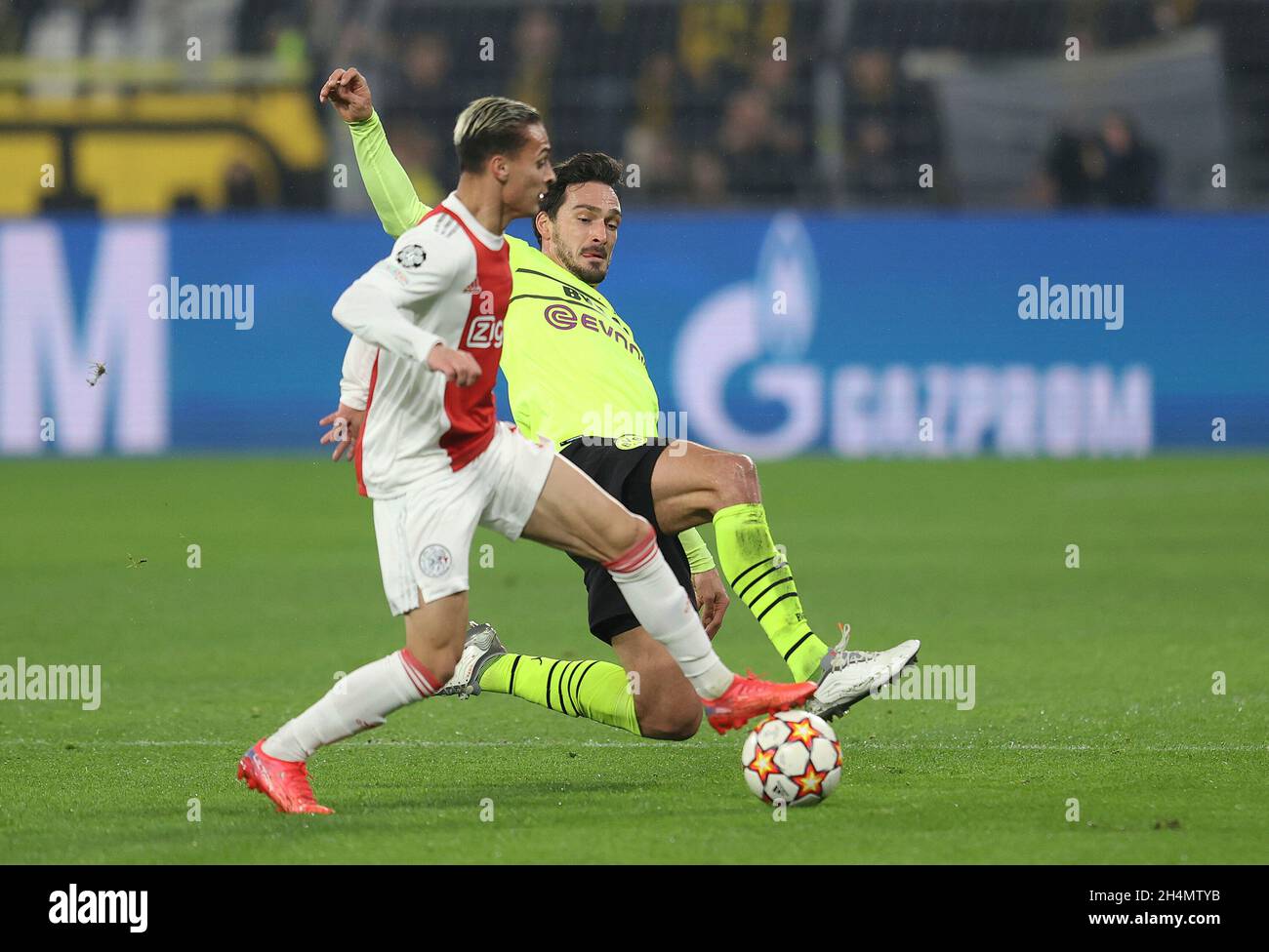 Dortmund, Deutschland. 03rd Nov, 2021. firo: 03.11.2021, Fuvuball, UEFA ...