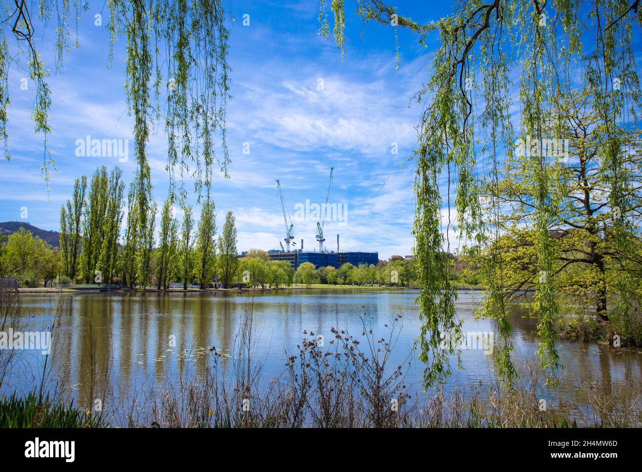 Bright summer day at the Floriade festival in Canberra, Australia with ...
