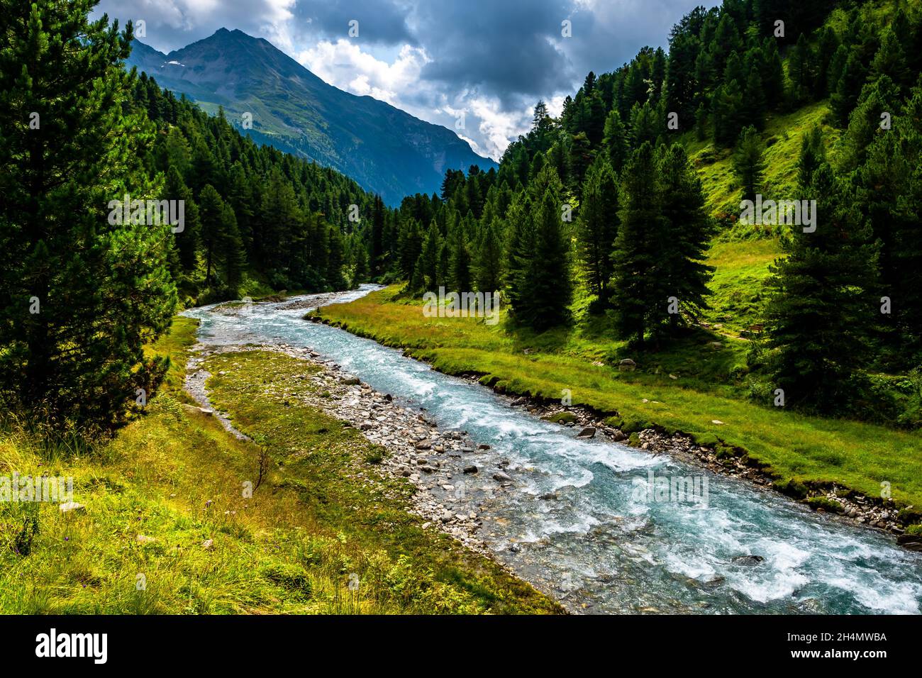 Clear Mountain River Flows Through Alpine Valley With Pine Forests In ...
