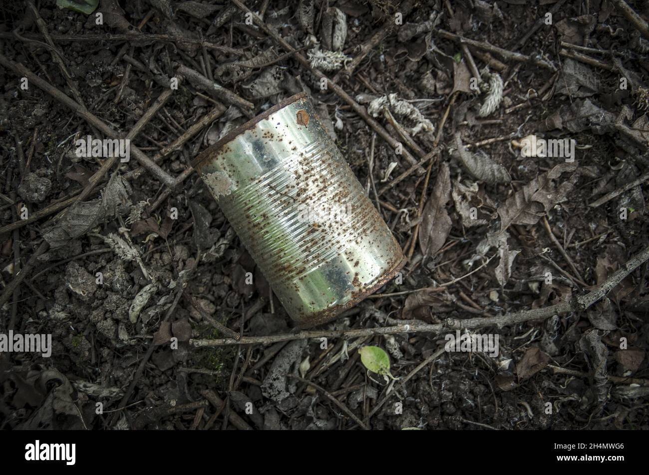 Rusting steel can on forest ground Stock Photo - Alamy