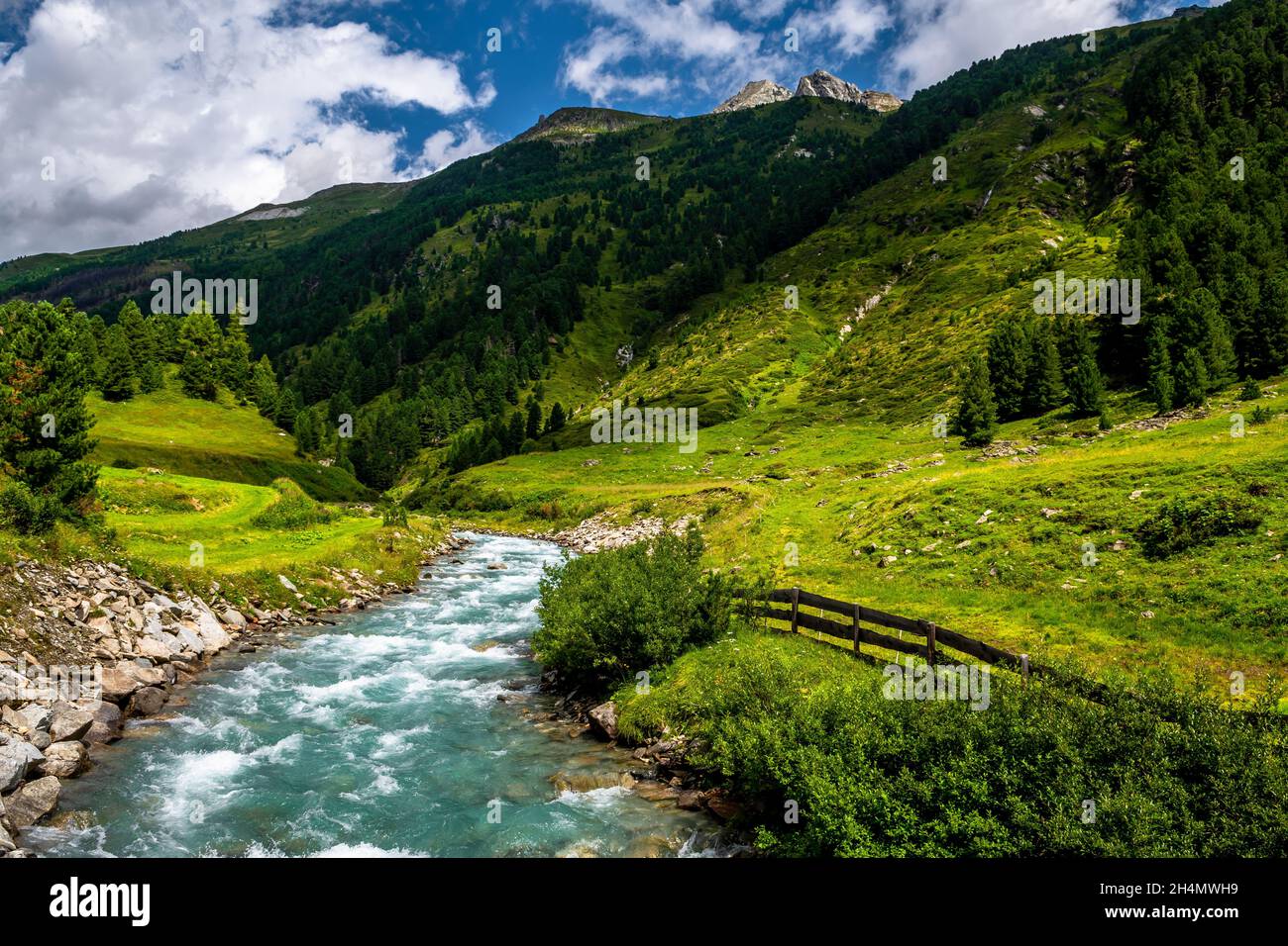 Clear Mountain River Flows Through Alpine Valley With Pine Forests In ...