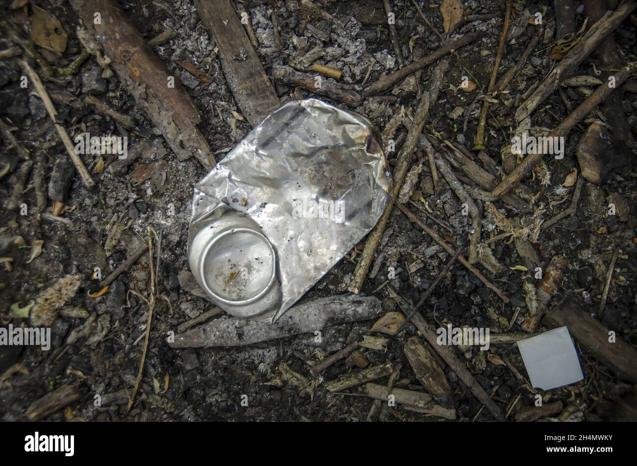 Rusting steel can on forest ground Stock Photo - Alamy