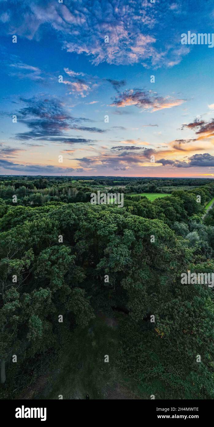 Picturesque panoramic aerial landscape of s golden autumn forest ...