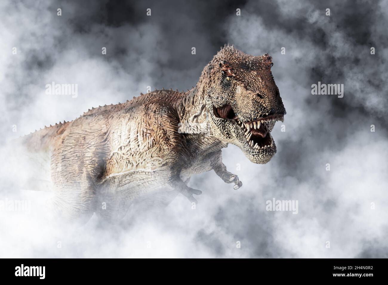 Tyrannosaurus T-rex ,dinosaur on smoke background Stock Photo - Alamy
