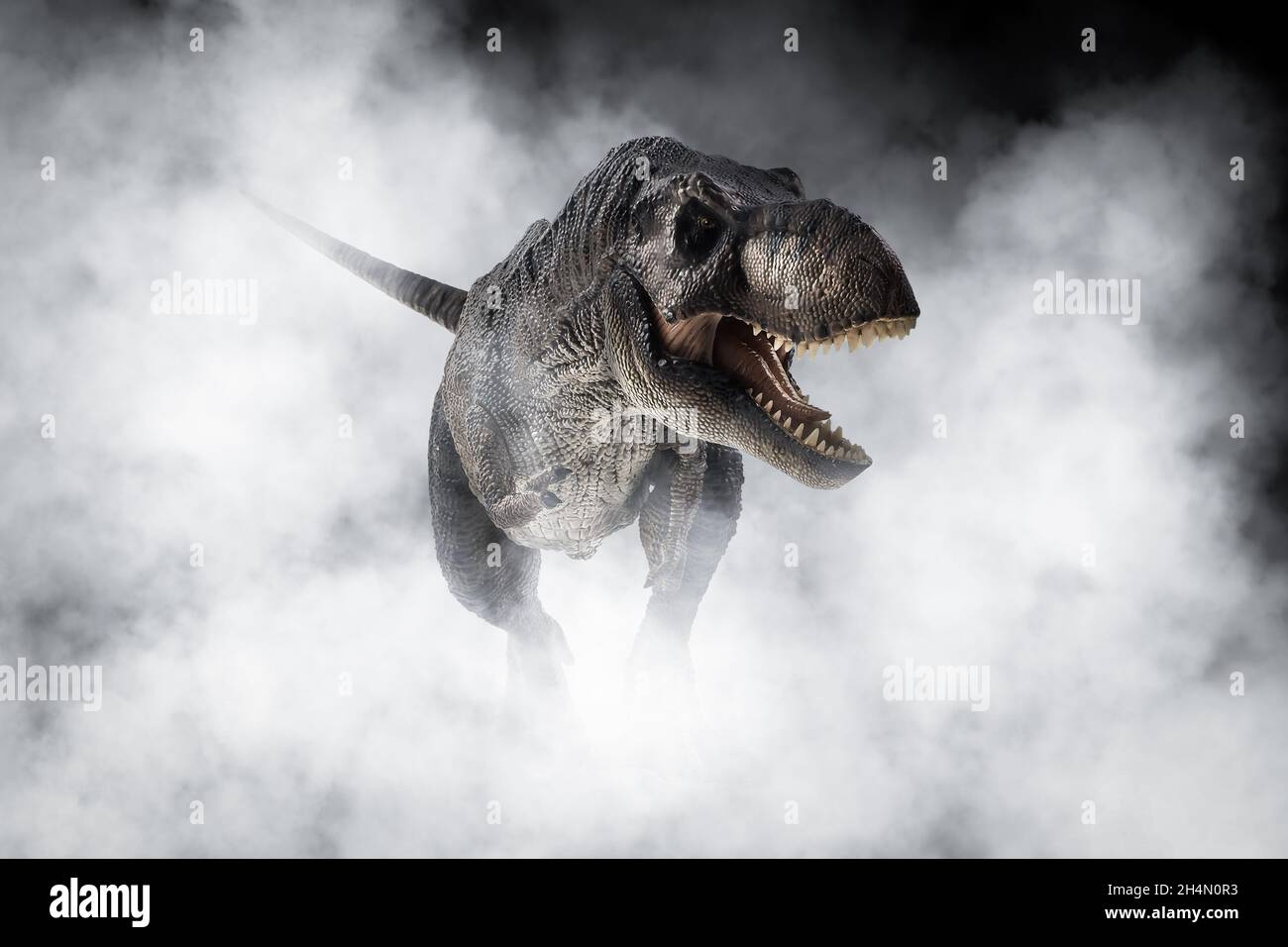 Tyrannosaurus T-rex ,dinosaur on smoke background Stock Photo - Alamy
