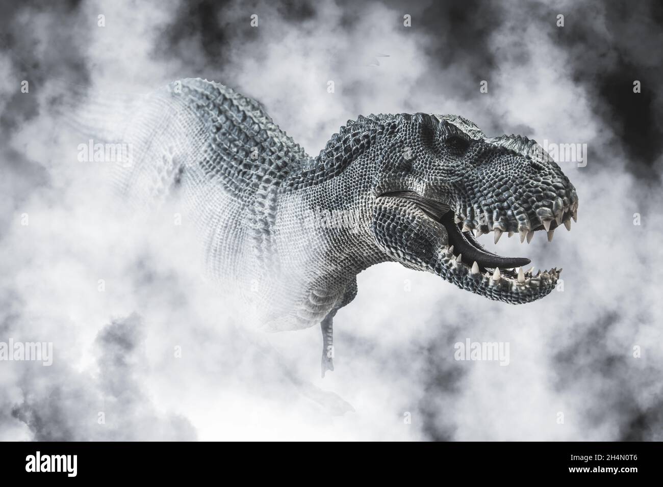 Tyrannosaurus T-rex ,dinosaur on smoke background Stock Photo - Alamy