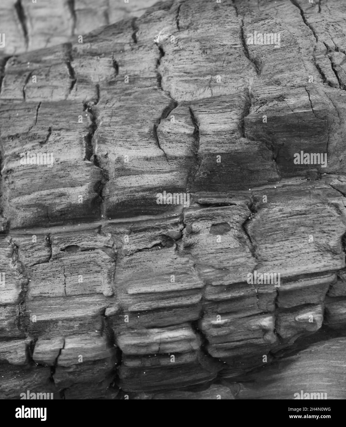 Activated carbon powder hi-res stock photography and images - Alamy