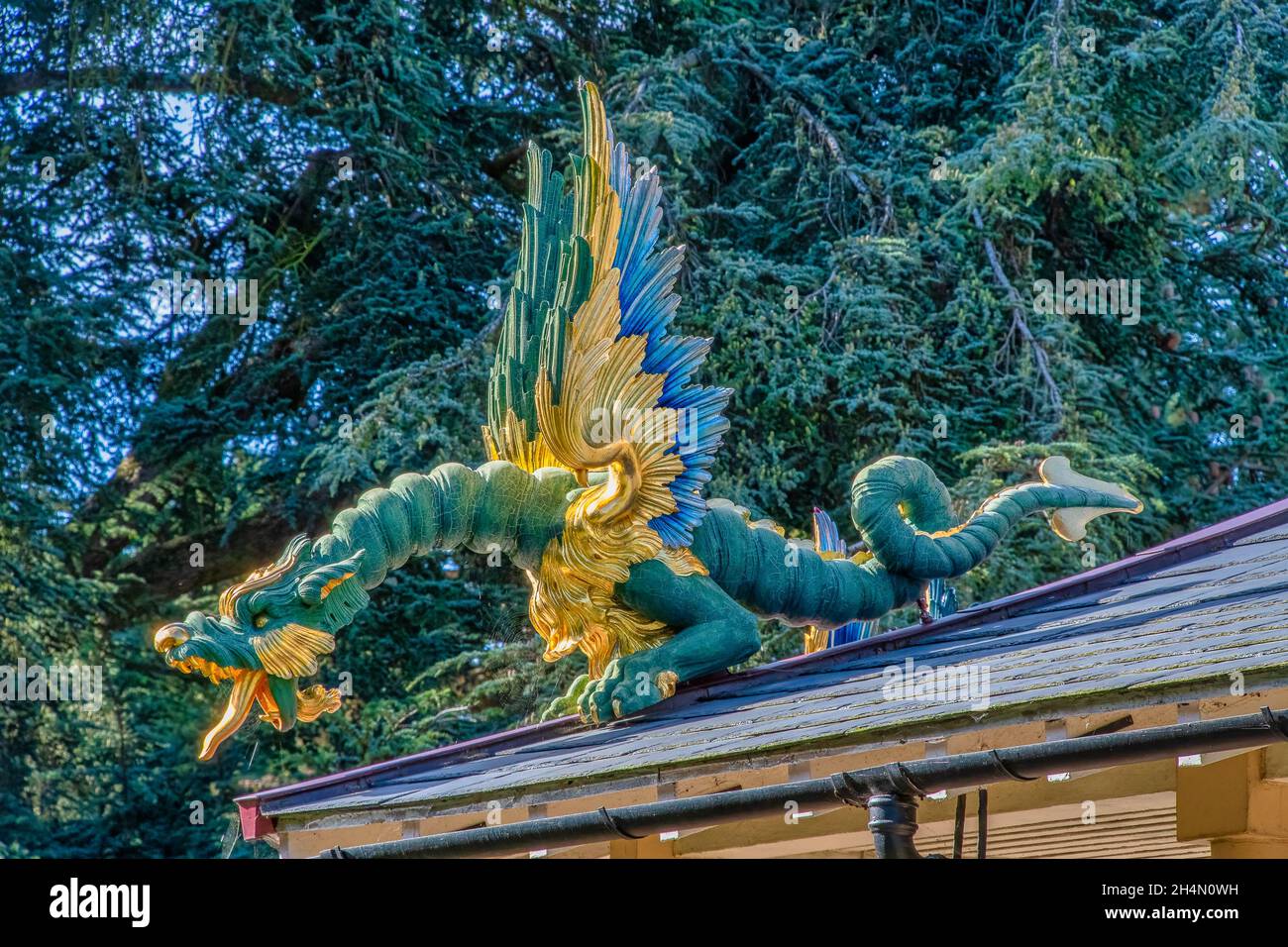 Great dragon tree hi-res stock photography and images - Alamy