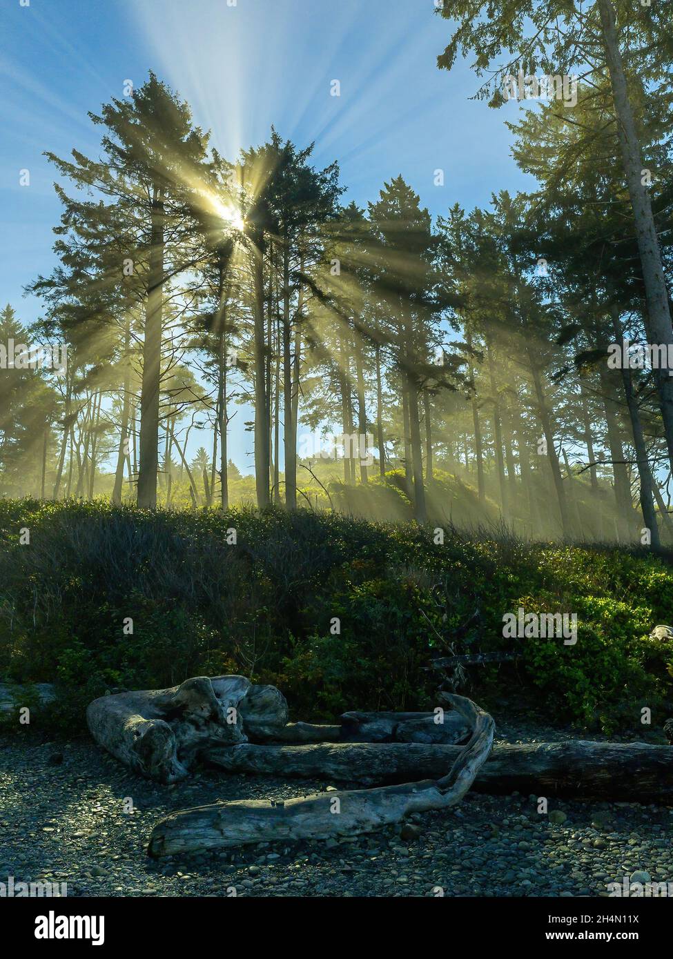 Ruby Beach, WA - USA - Sept. 21, 2021: Vertical view of sunrise flaring ...